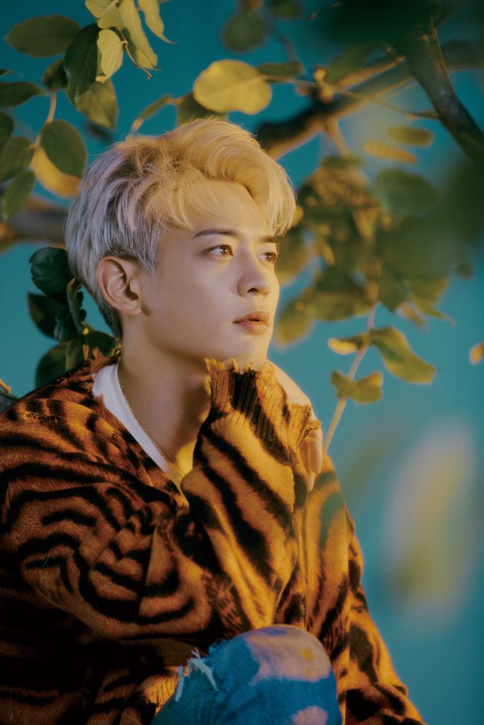 SHINee Members Profile ( Age, Bio, Wiki, Facts & More) - Kpop Members Bio
