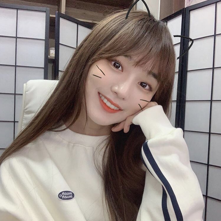 Delight Members Profile (Age, Bio, Wiki, Facts & More) - Kpop Members Bio