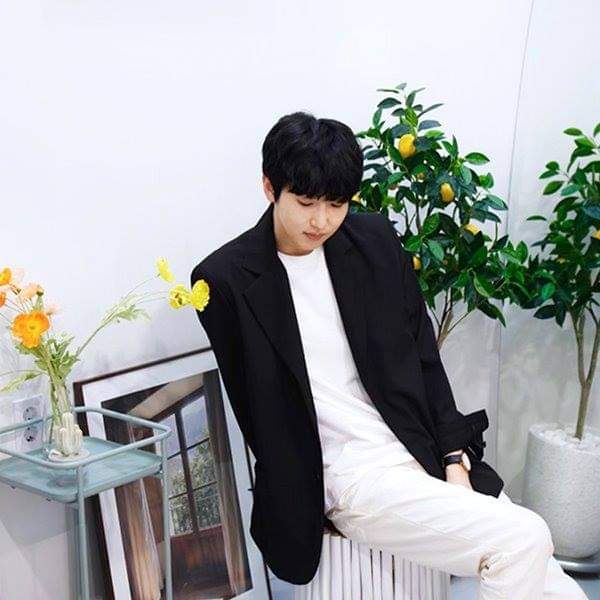 Lee Mingyu (Singer) Age, Bio, Wiki, Facts & More - Kpop Members Bio