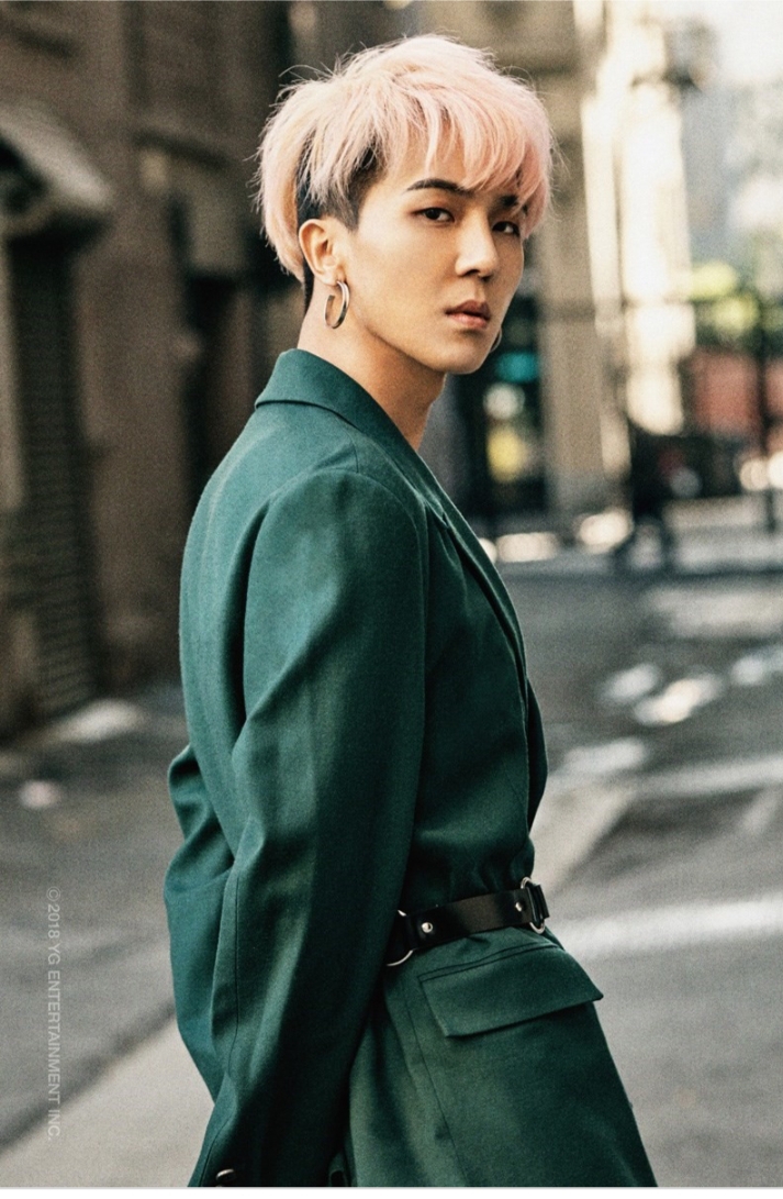 WINNER Members Profile(Age, Bio, Facts, WiKi and More) - Kpop Members Bio