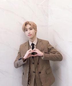 Han (Stray Kids Member) Age, Bio, Wiki, Facts & More - Kpop Members Bio